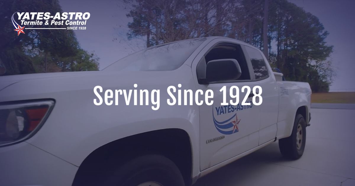Savannah Pest Control | Yates-Astro Termite & Pest Control
