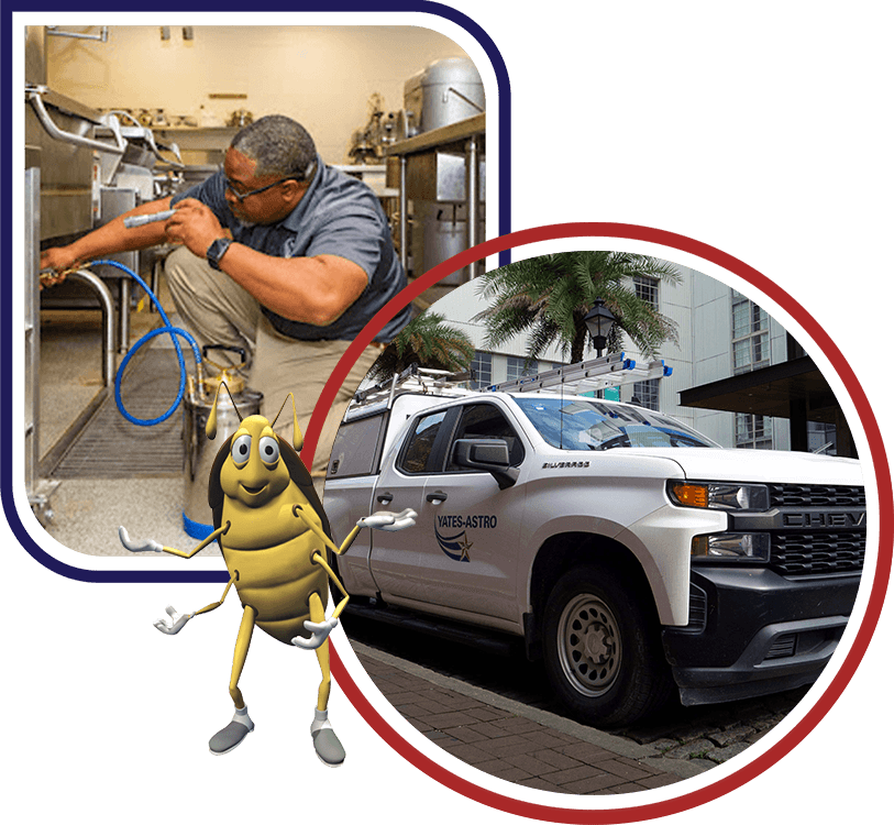 Commercial Pest Control in Savannah | Yates-Astro Pest & Termite Control