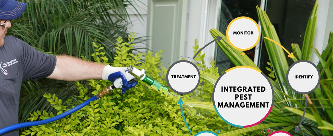 August 2023 Blogs | Yates-Astro Termite & Pest Control