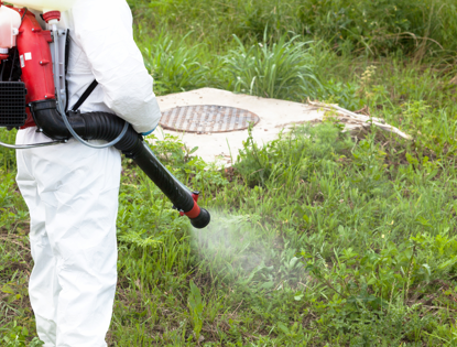 Savannah Pest Control | Yates-Astro Termite & Pest Control