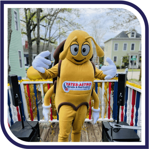 Savannah Pest Control | Yates-Astro Termite & Pest Control