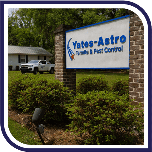 Boxelder Control in Savannah, GA | Yates-Astro Termite & Pest Control