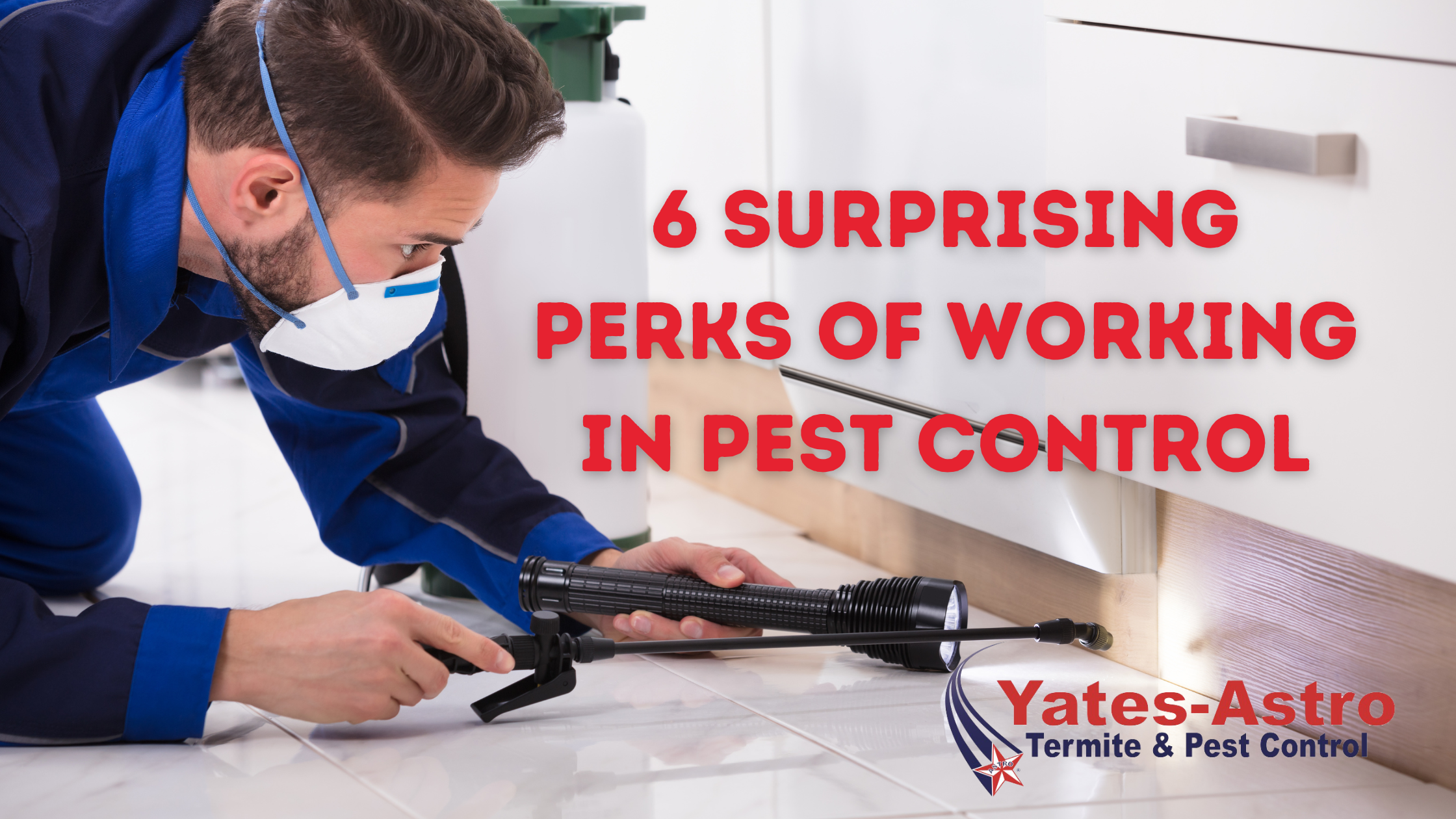 6 Surprising Perks of Working in Pest Control