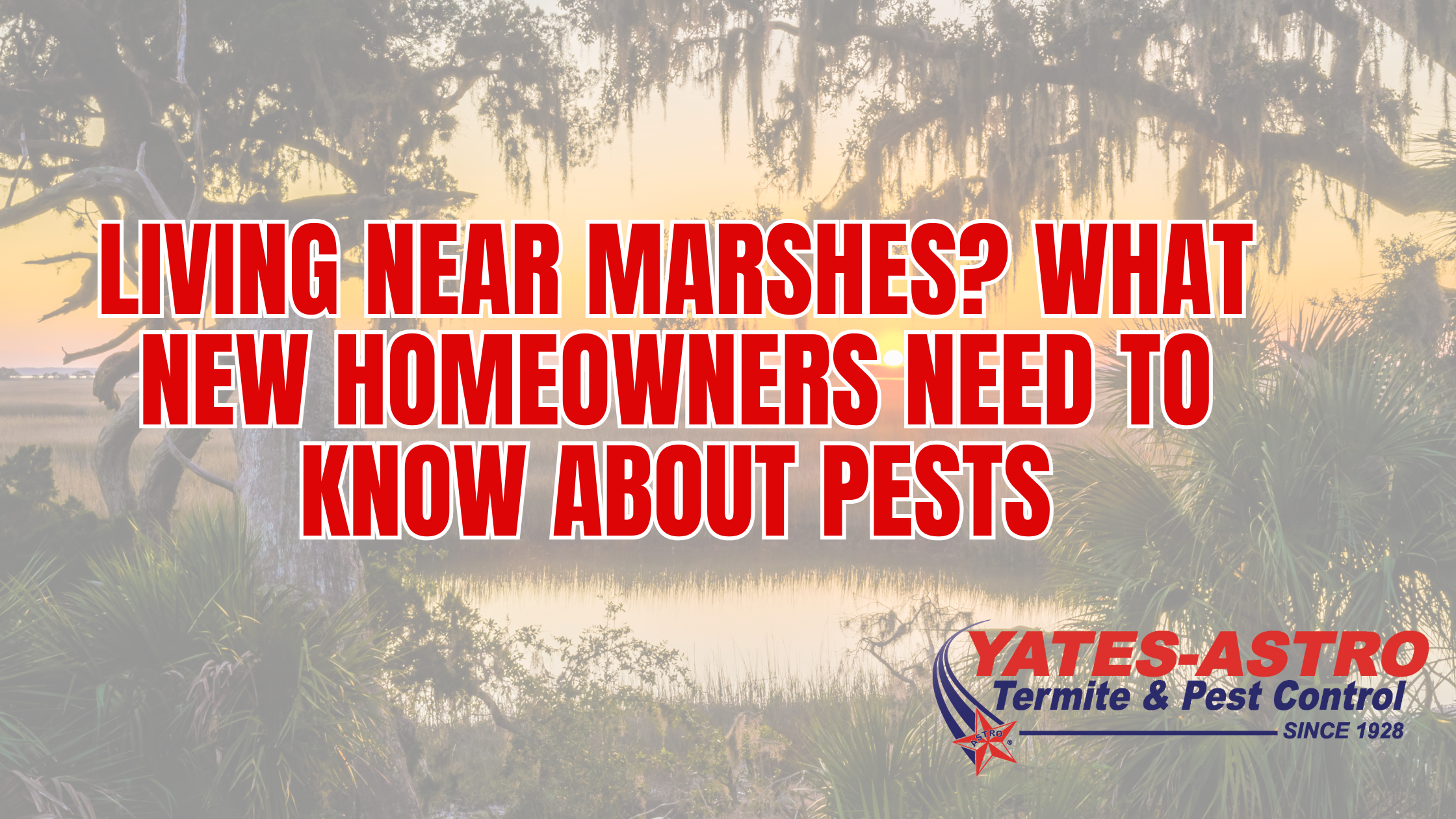 Living Near Marshes? What New Homeowners Need to Know About Pests