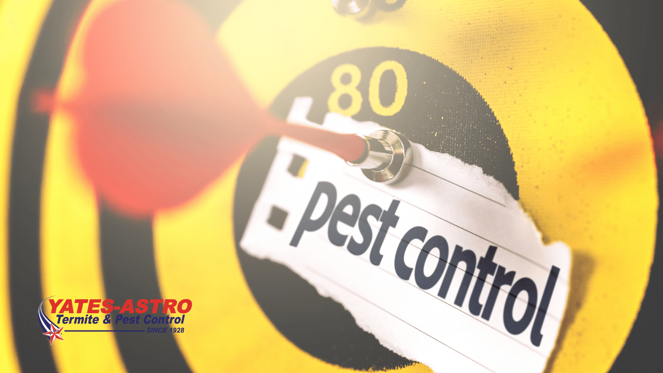 May Showers Bring... Pests? Proactive Strategies for Pest Prevention