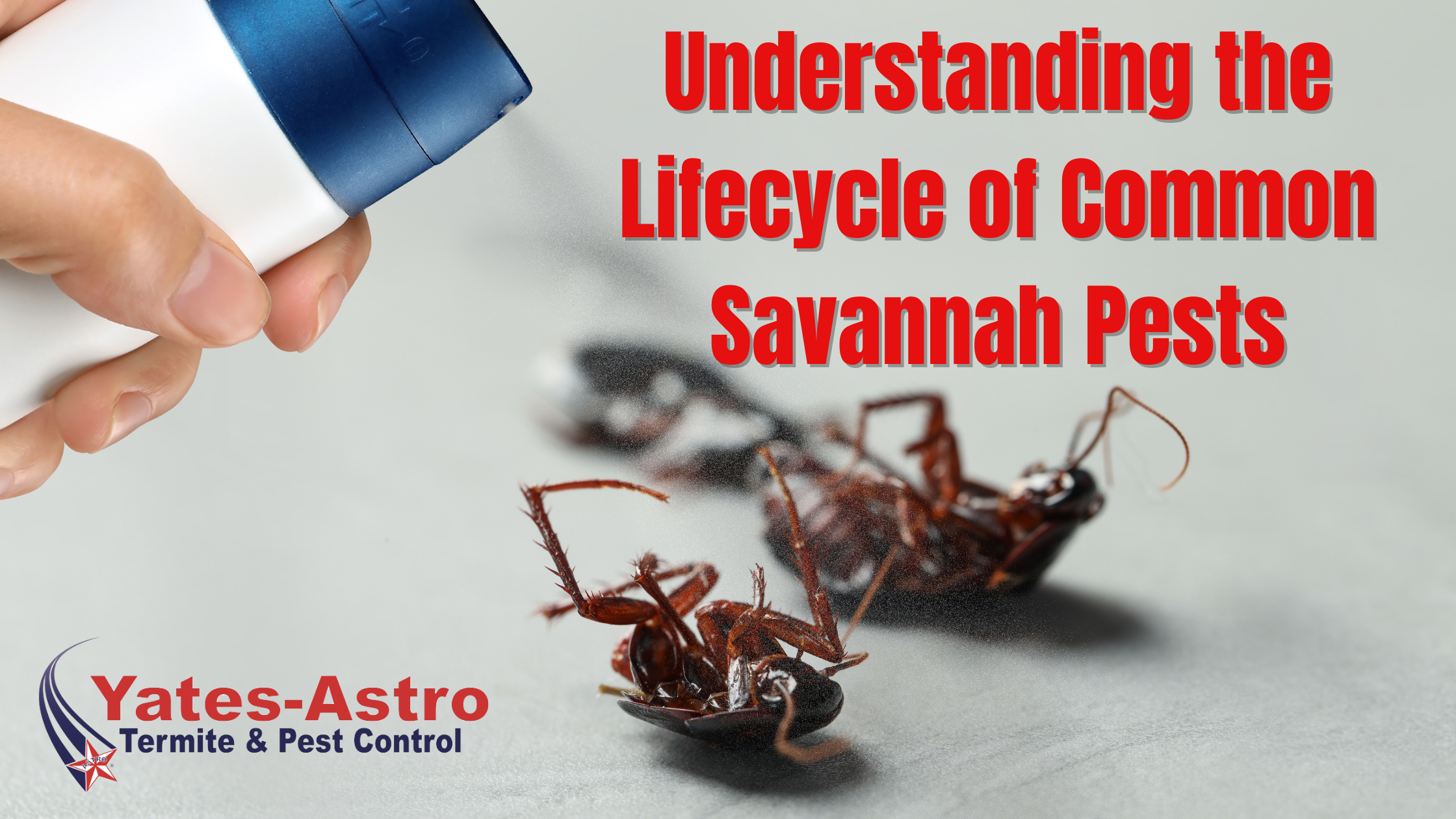 Understanding the Lifecycle of Common Savannah Pests