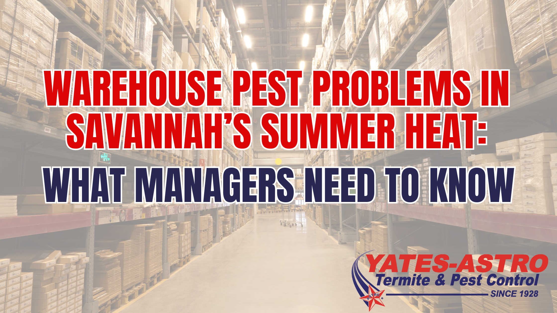 Warehouse Pest Problems in Savannah’s Summer Heat: What Managers Need ...