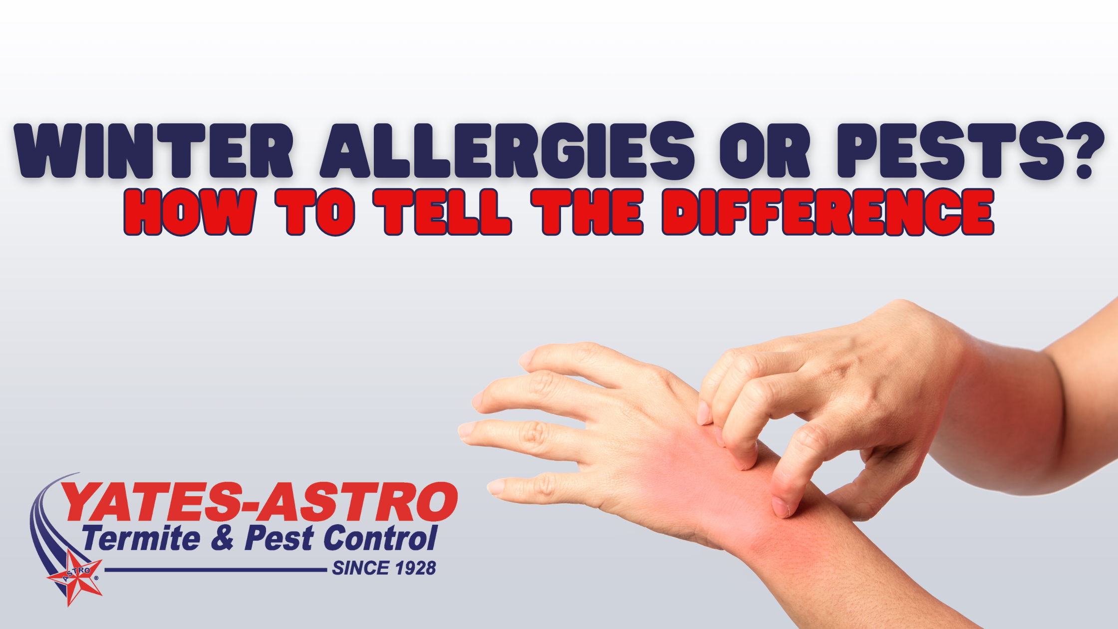 Winter Allergies or Pests? How to Tell the Difference